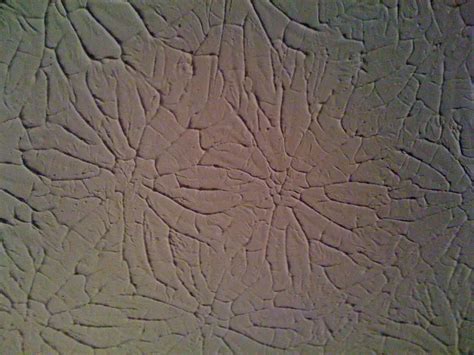 How To Stomp Texture A Drywall Ceiling