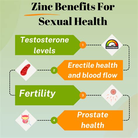 How Zinc Affects Sexual Health MedyPharmacy