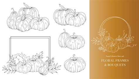Premium Vector Pumpkins Line Art Illustration Outline Pumpkin