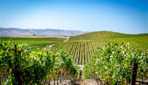 Napa Valley Road Trip Best Wineries And Rv Campgrounds