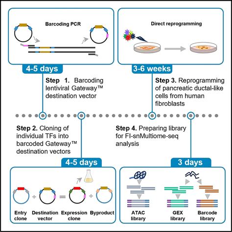 Cell Press Star Protocols