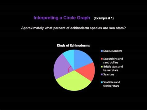 Circle Graph Example