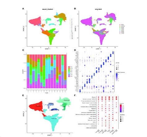 Overview Of Identified Single Cells A UMAP Of Cell Profiles Download Scientific Diagram