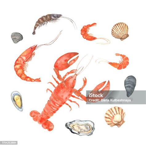 수채화 해산물 세트 굴 홍합 랍스터 새우 가리비 조개 레스토랑 메뉴 카드 디자인 카페 시장 상점 프랑스 요리법 전단지 포장 디자인 로고 라벨 수채화에 대한 스톡 벡터 아트