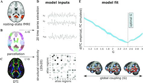 Whole Brain Dynamic Mean Field Model The Dmf Model Has Several Inputs Download Scientific