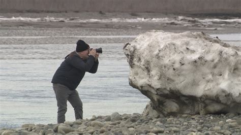 ‘people Sized Huge Thick Ice Chunks Flow Down Fraser River And Wash