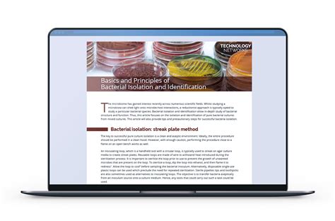 Basics And Principles Of Bacterial Isolation And Identification [guide]