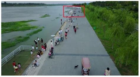 Object Detection In Drone Video With Temporal Attention Gated Recurrent Unit Based On Transformer