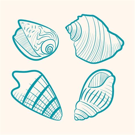 Free Vector Hand Drawn Seashell Outline Illustration