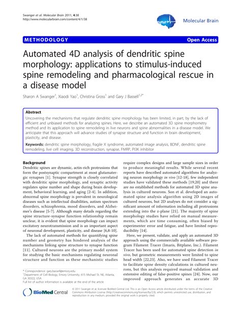 Pdf Automated 4d Analysis Of Dendritic Spine Morphology Applications