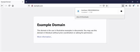 Auto Save Html V203 Best Extensions For Firefox