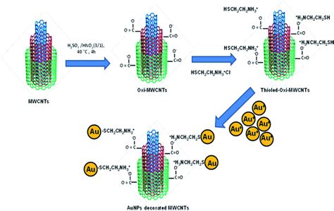 Schematic Illustration Of Covalent Functionalization And Decoration Of Download Scientific
