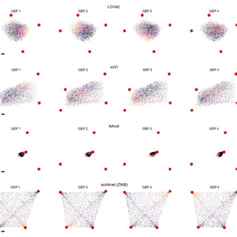 Structure Of The Autoencoder For Non Linear Archetypal Analysis With A Download Scientific
