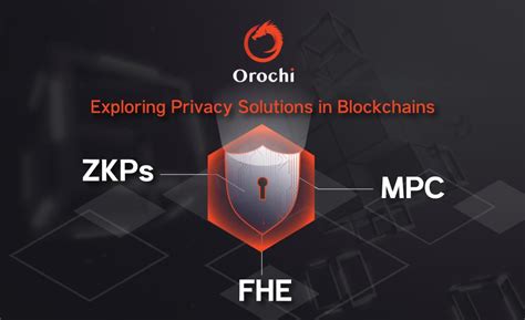 Exploring Privacy Solutions In Blockchains Zkps Fhe Mpc