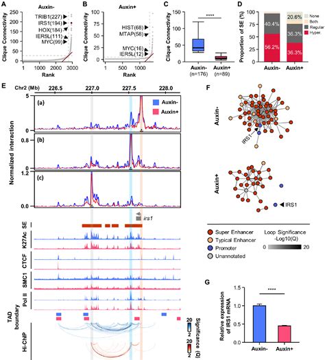 Figure 3 From Ctcf Mediated Chromatin Looping Provides A Topological