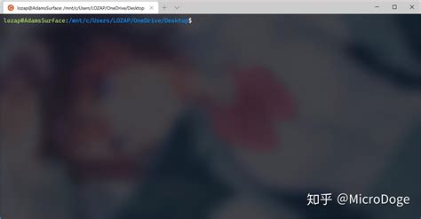把windows 10变成linux的桌面环境（雾） 知乎