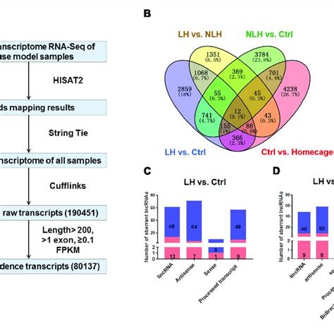 Rna Seq Flow Chart Profiling And Classification Analyses A The