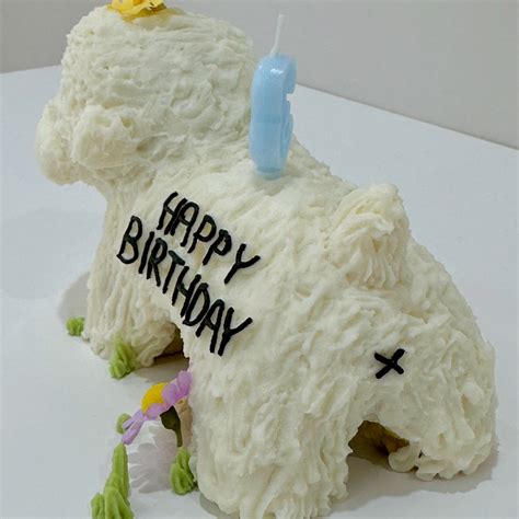 멈무까 부산강아지케이크 광안리강아지케이크 광안리강아지수제간식 💛 Happy Birthday 🩷 전신 입체 케이크 네 발 디자인으로 레터링 장식추가해써요 ღ 문의