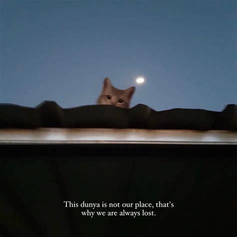 Citizen Psa Certificates With Qr Codes Qr Coded Psa Birth Certificate