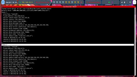 Servidor Dhcp H4ckem4 Administracion Gnulinux Y Programacion