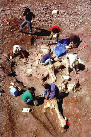 Giant Human Skeleton Found In Saudi Arabia