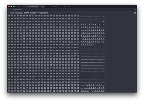 Rust • Timothy Andrew