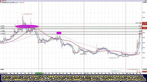 세명전기 제일전기공업 대원전선 광명전기 바이넥스 Hb솔루션 리노공업 한미반도체 와이씨 동일기연 금양 삼성