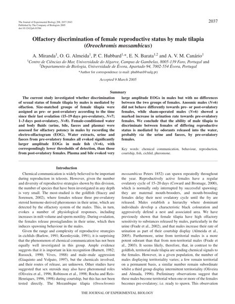 Pdf Olfactory Discrimination Of Female Reproductive Status By Male