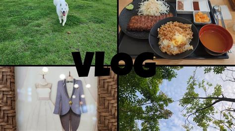 آخرین دیت با دوست پسر کره‌ای Youtube