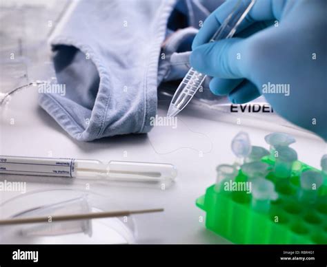 Forensic Scientist Taking A Hair Specimen For Dna Deoxyribonucleic Acid Testing From Clothing