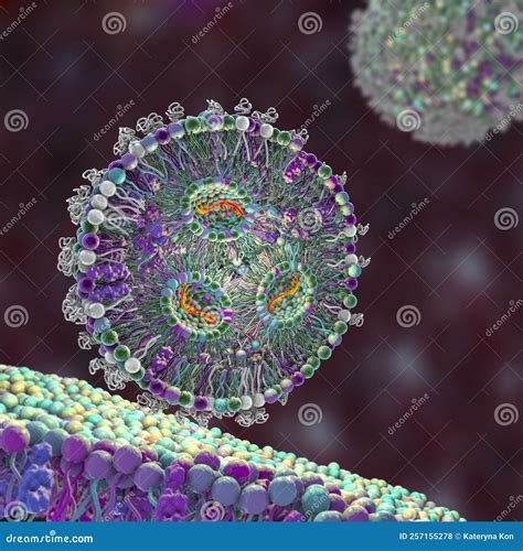 Lipid Nanoparticle Mrna Vaccine Royalty Free Illustration 257155278