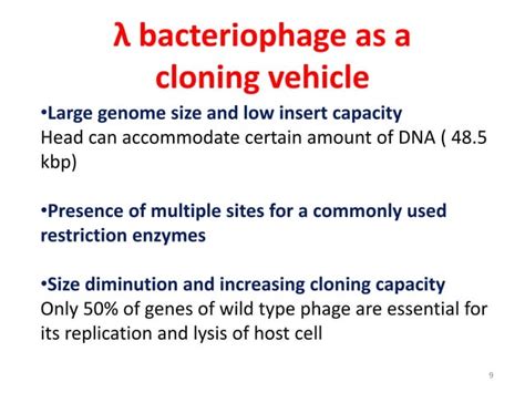 Lectut Btn 202 Ppt L4 Bacteriophage Lambda And M13 Vectors 1 Ppt