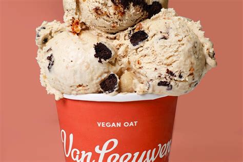Van Leeuwen Vegan Oat Milk Brown Sugar Chunk