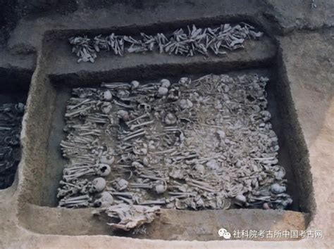 邓州八里岗遗址仰韶文化多人二次合葬墓m13葬仪研究 搜狐大视野 搜狐新闻