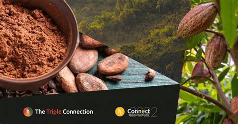 Leo Zeches On Linkedin Product Reveal Of New Sustainability Business