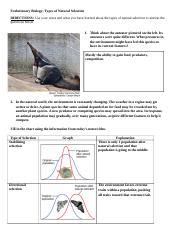 Evolutionary Biology Types Of Natural Selection Course Hero