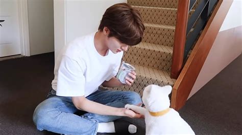 위버스 Drippin Media 캐릭터 확실한 일곱 멤버의 촬영 현장 Free Pass 활동 Behind