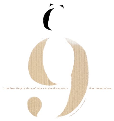 Design Principles Exploring Unity Composition