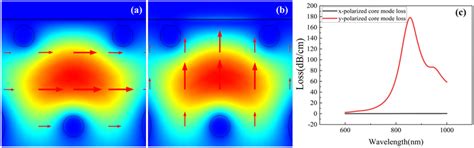 Electric Field Distribution Of Ax Polarized Mode And By Polarized Mode Download Scientific