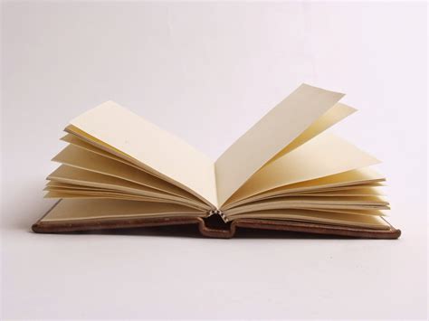 Institut Coach Reescribe Tu Guión De Vida Y Desarrolla Tu Verdadero Potencial