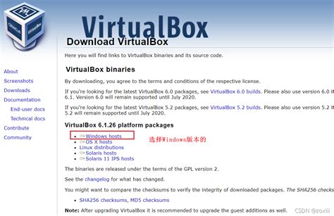 【virtual Machine】oracle Vm Virtualbox傻瓜式安装教程oracle Vm Virtual安装教程 Csdn博客
