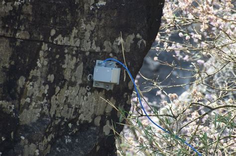 Krishna V Kushwaha On Linkedin Machinelearning Datascience Lstm Deeplearning Prophet Ooa