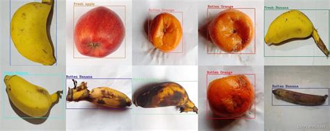 【yolo算法水果新鲜程度检测】yolo能不能识别水果的新鲜度 Csdn博客