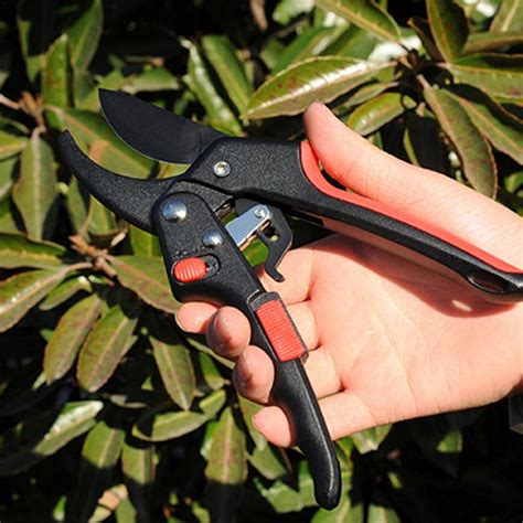 Градинска ножица Резитба Професионална ножица за присаждане Градинска ножица Резитба Ножица за