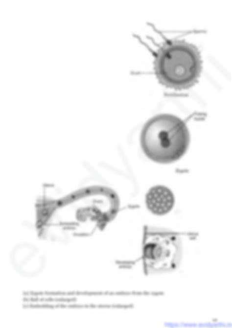 SOLUTION Notes Class Science Chapter Studypool