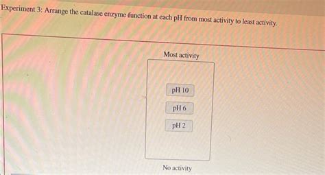 Solved Experiment 3 Arrange The Catalase Function At Each