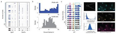 Variation In Isoform Usage Between Single Cells A Rna Seq Read