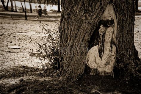 Picture Of Woman In Traditional Clothes On Tree Trunk Stock Photo Image Of Environment