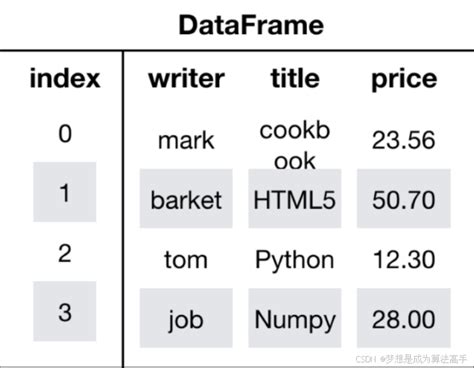 带你从入门到精通——python数据处理（四 Pandas入门）pandas函数大全及详解 Csdn博客