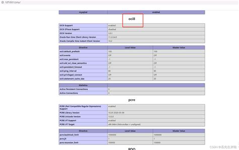 【无工具搭建php8oracle11gwindows环境】内网无网络win10php连接oracle数据库实例windows Php8连接oracle Csdn博客